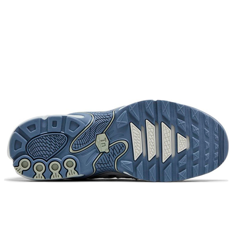 Nike Air Max Plus Drift Ashen Slate FV4081-101 купити з доставкою в Україні